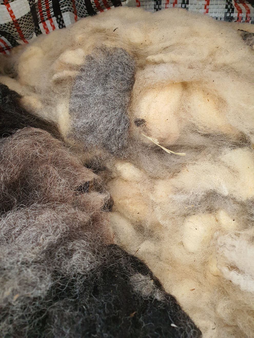 Value wool pack. Sample multiple different sheep fleeces in one order ...